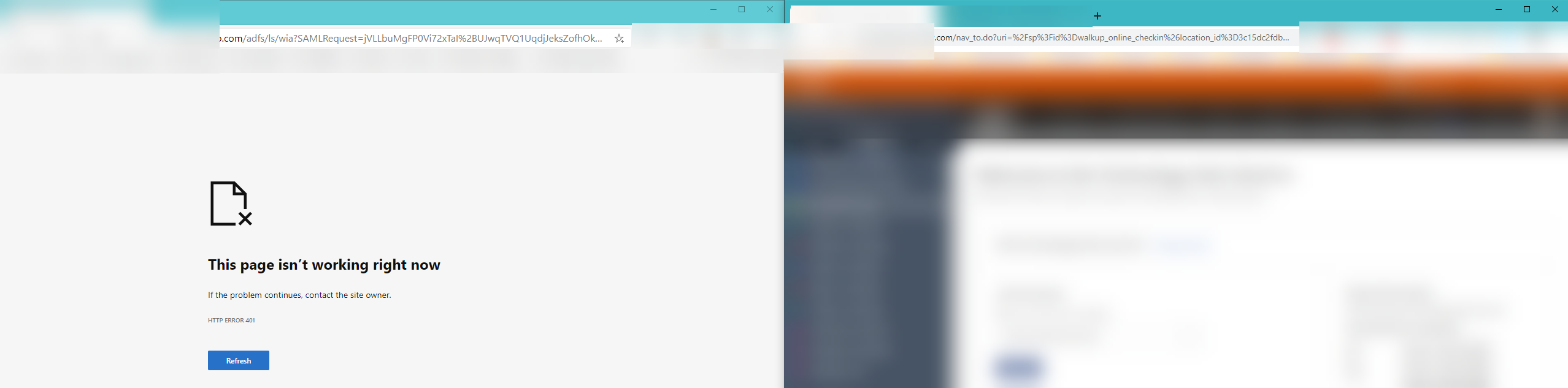 HTTP ERROR 401 - This page isn’t working right now. However, google Chrome works fine ...