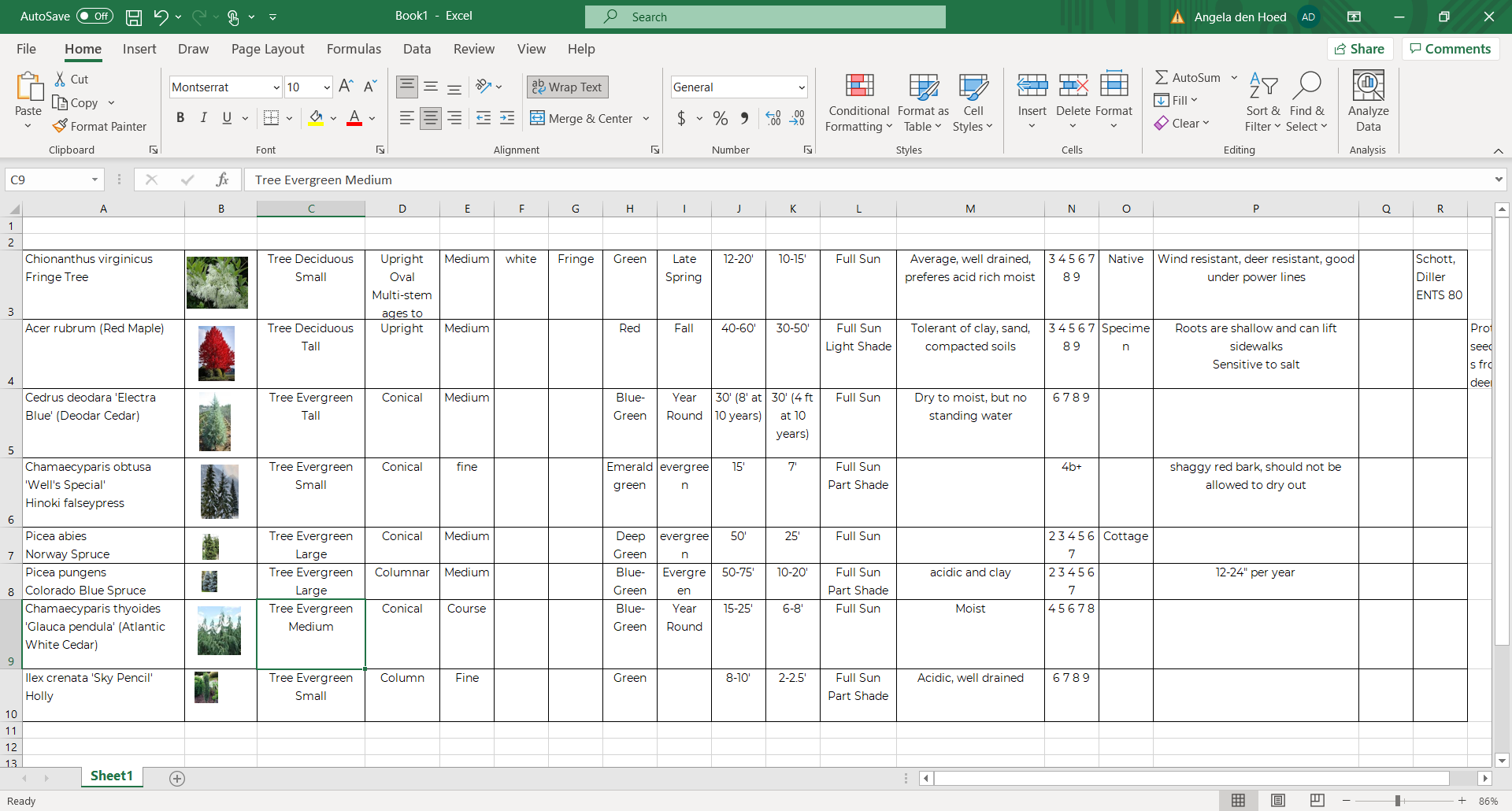 Photos don't move with cells | Microsoft Community Hub