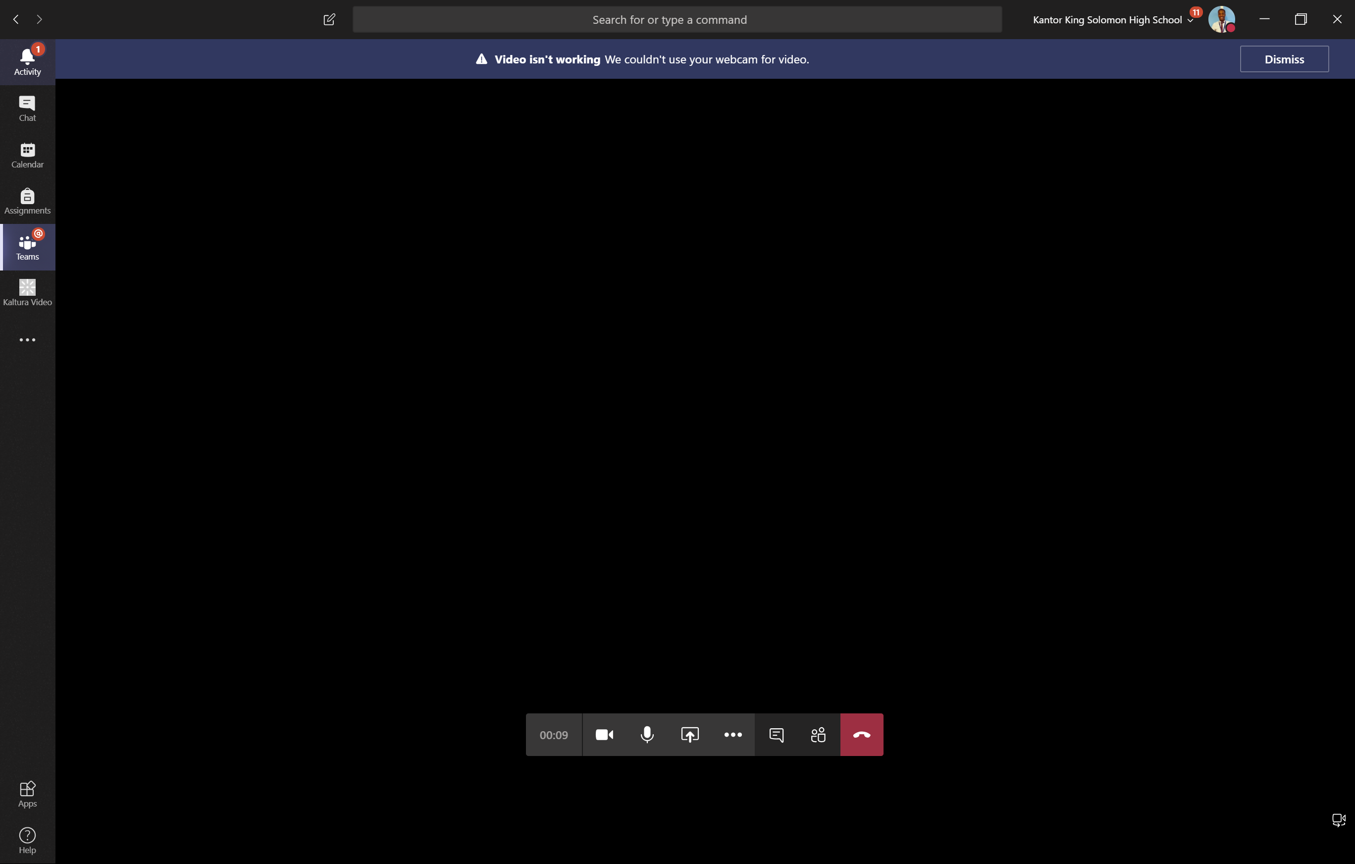 Video not working in Teams meeting | Microsoft Community Hub