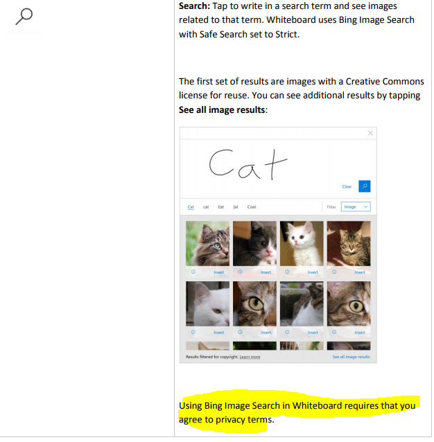 Bing privacy statement / Maps does not start at the first time ...