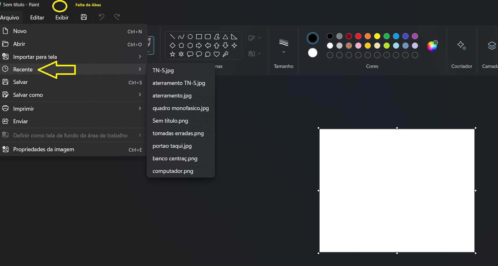 PAINT BRUSH TABS and RECENT ITEM | Microsoft Community Hub