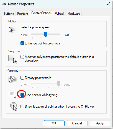 My Cursor disappears when writing in Word, editor or any Office program ...