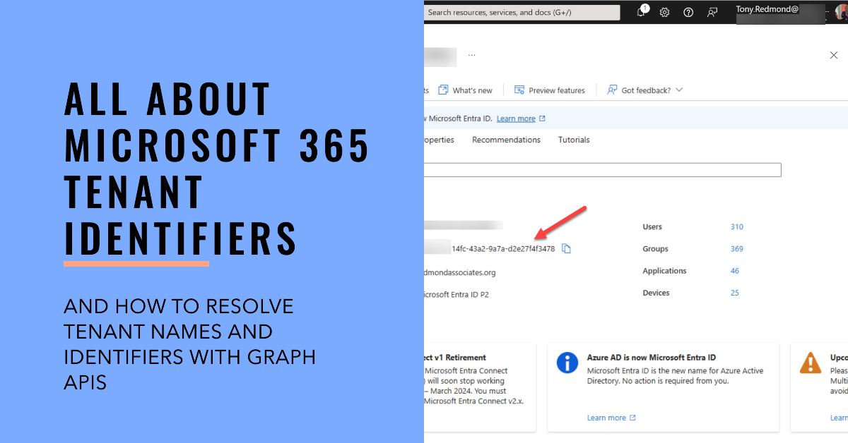 All About Microsoft 365 Tenant Identifiers | Microsoft Community Hub