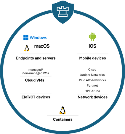 Defender Vulnerability Management GA in government cloud | Microsoft ...