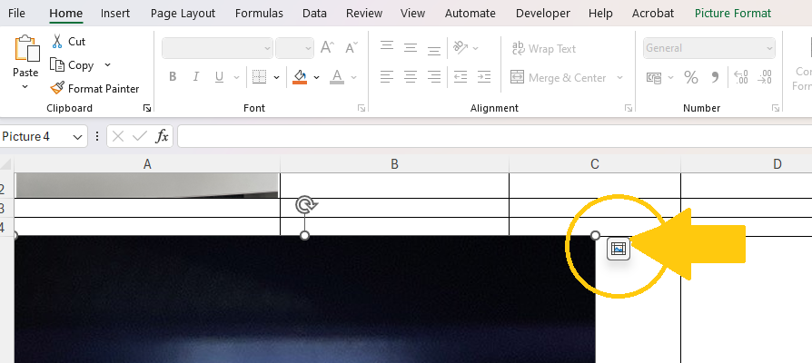 Help! Image disappears when you click on it in Excel, with the message "Picture" appearing ...