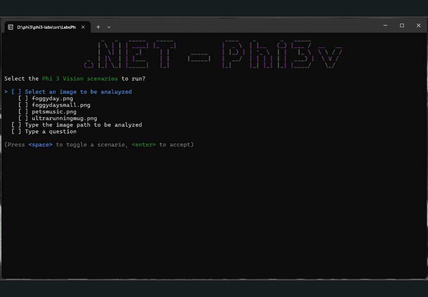 Using Phi-3 & C# with ONNX for text and vision samples