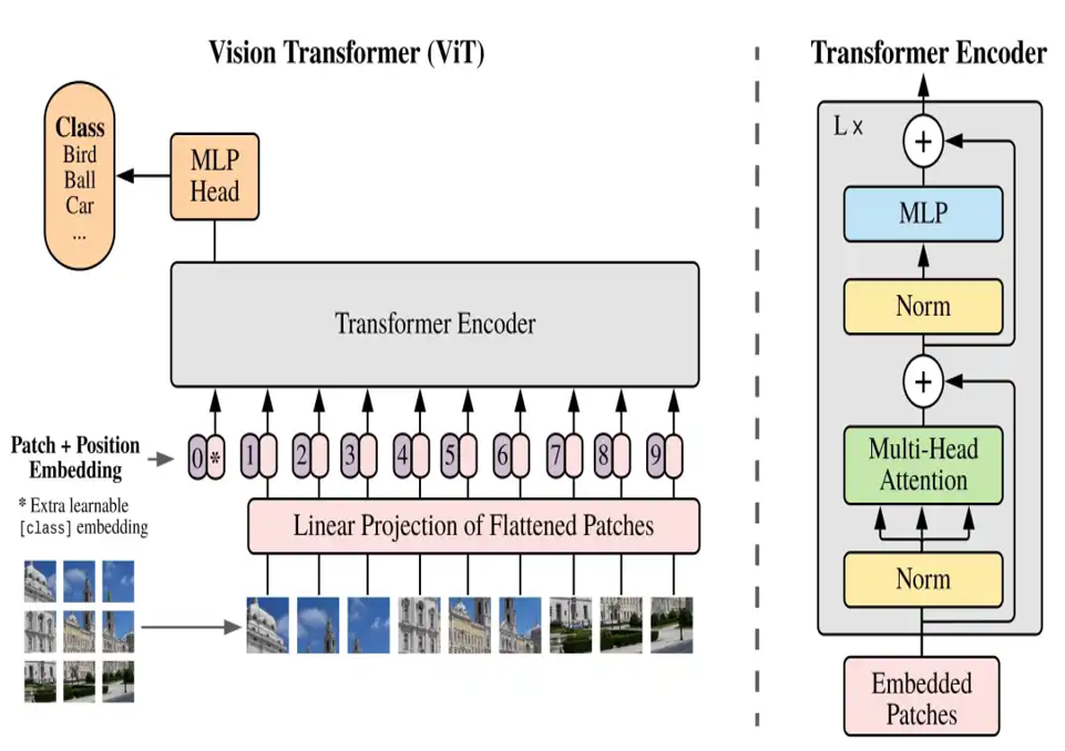 Train Vision Transformer model and run Inference | Microsoft Community Hub