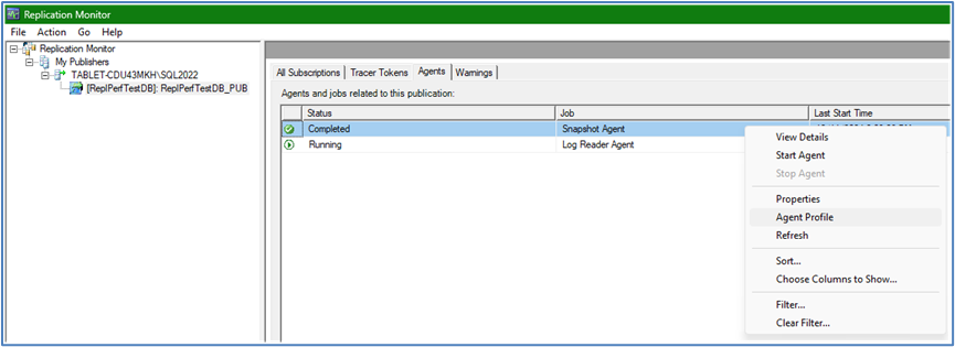 Enhancing Sql Server Transactional Replication Initialization