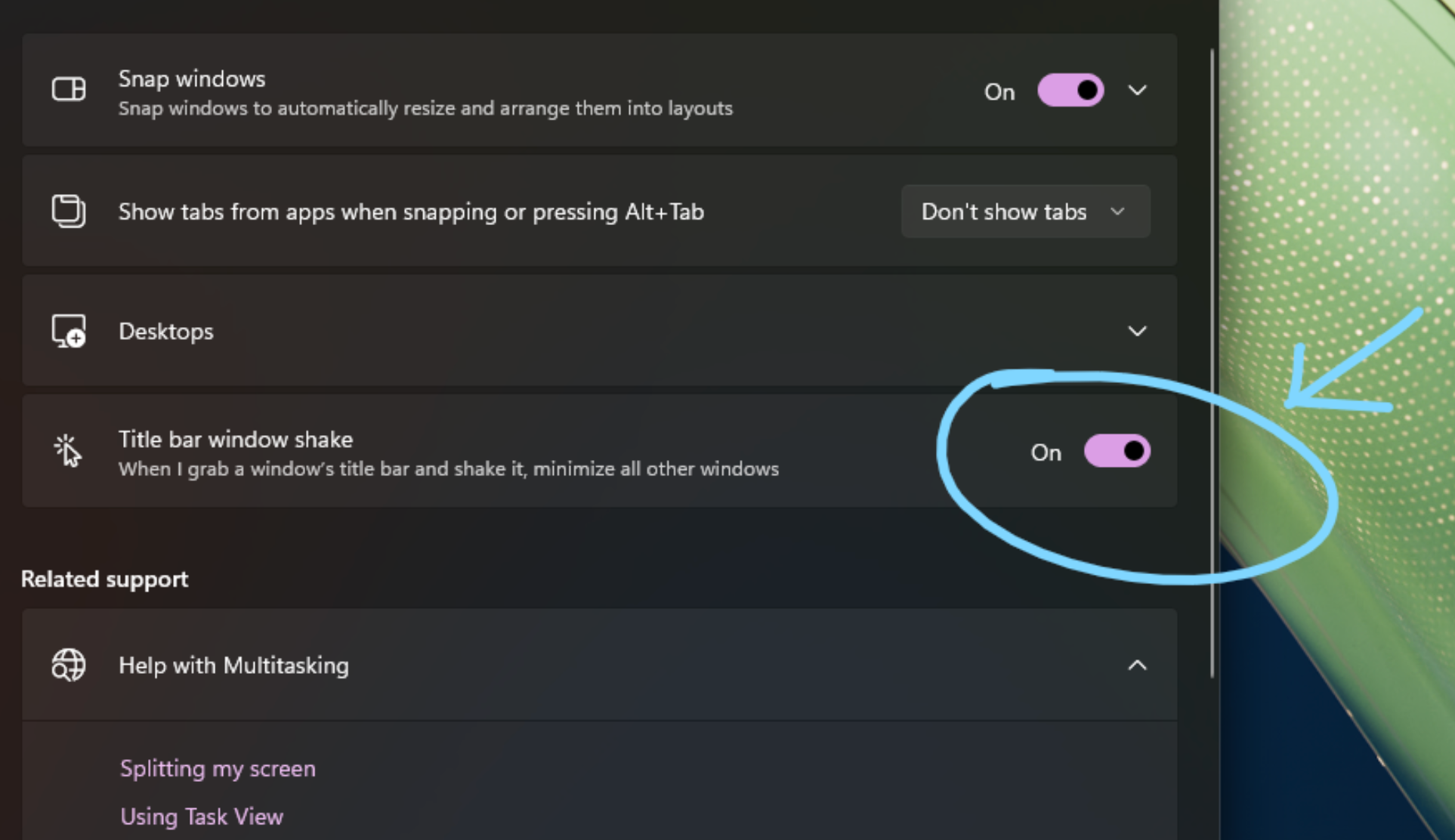Tip for the Title bar Widows share from system settings | Microsoft Community Hub