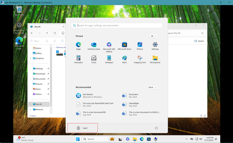 Passwordless Authentication with FIDO2 Security Key for Remote Desktop ...