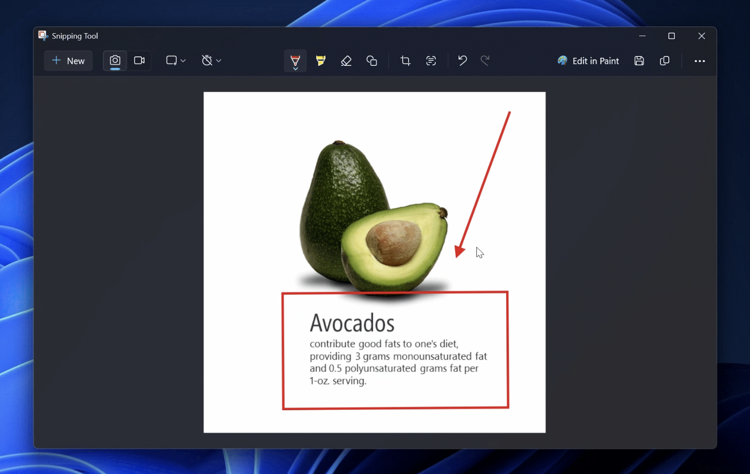 Snipping Tool and Notepad app updates begin rolling out to Windows ...