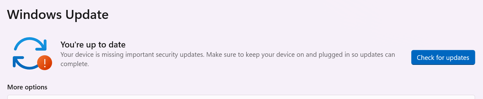 Windows update don't run | Microsoft Community Hub