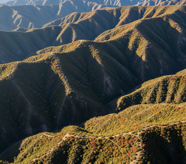 Need help to find an spotlight image for fractal landscape | Microsoft ...