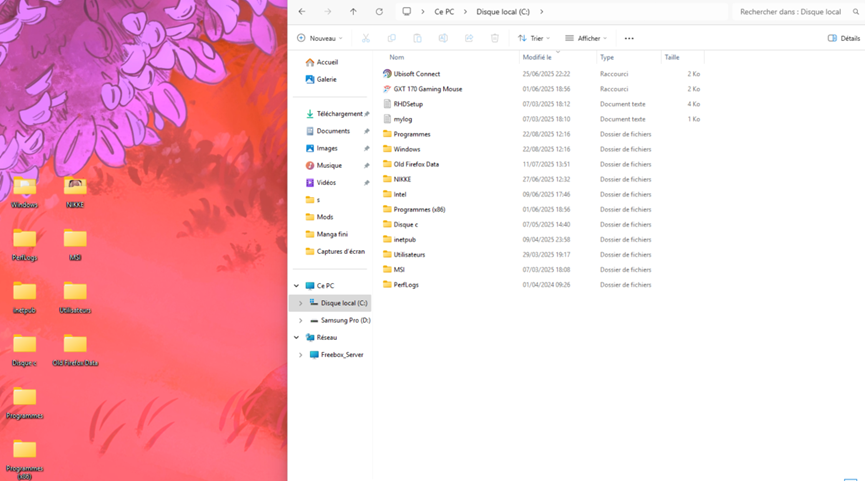 Can duplicate files on the C drive of the Windows11 system be deleted? | Microsoft Community Hub