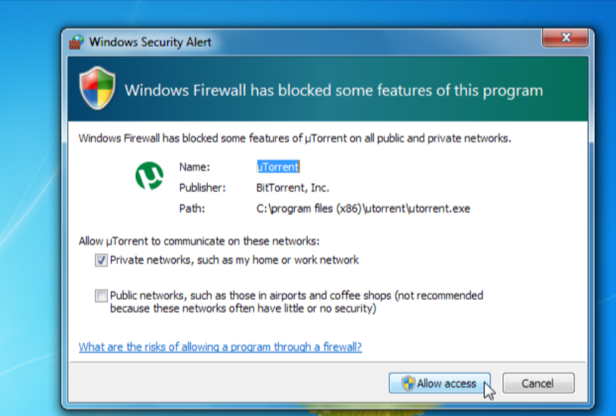 How do I revoke software access permissions in the Windows operating ...