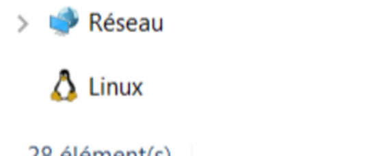 How do I delete empty files created by Linux in the Windows 11 ...