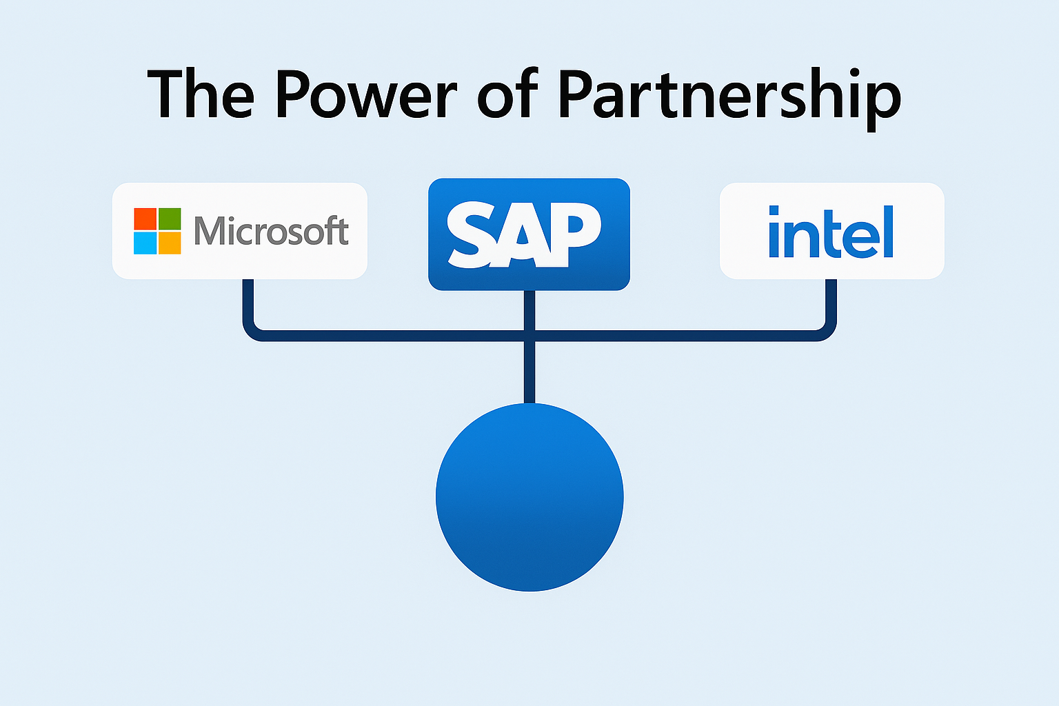 Best Practices: Using the SAP Business Suite Acceleration Program ...