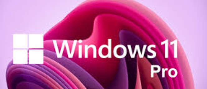 How to upgrade From Win 11 Home to Win 11 pro | Microsoft Community Hub