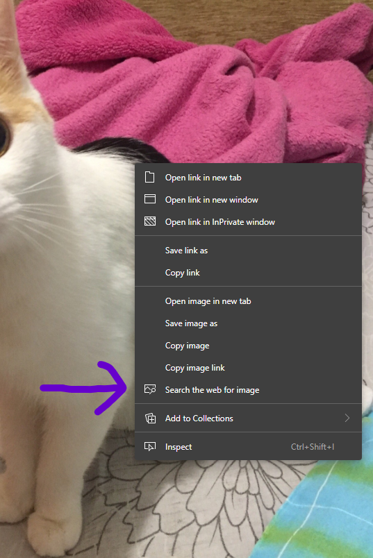 Reverse Image search ability is Awesome! | Microsoft Community Hub