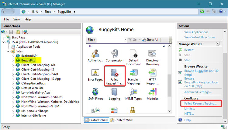 Reading a FREB log, a Failed Request Tracing: IIS request processing pipeline execution ...