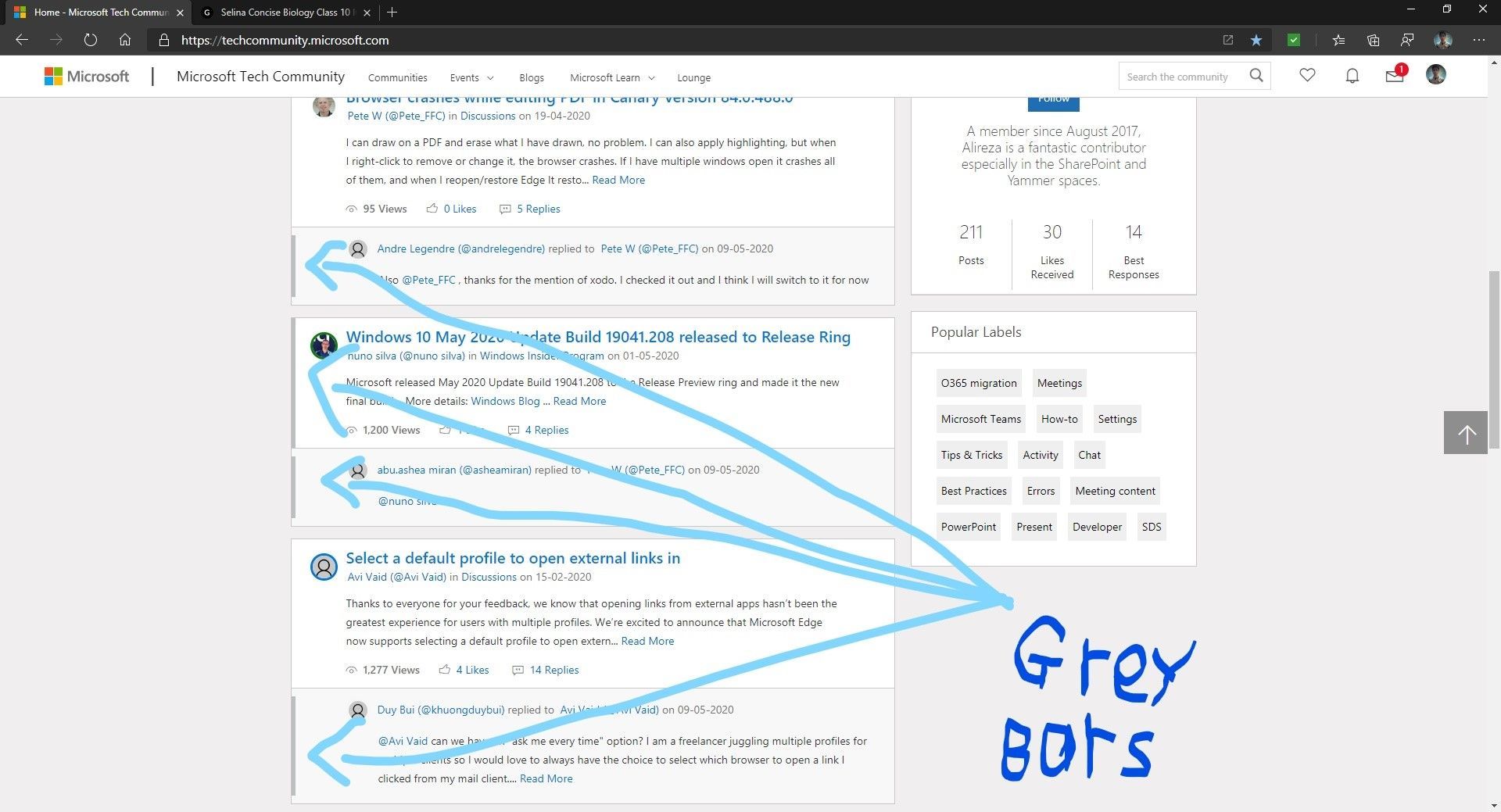 Vertical grey bars on the left of conversations | Microsoft Community Hub