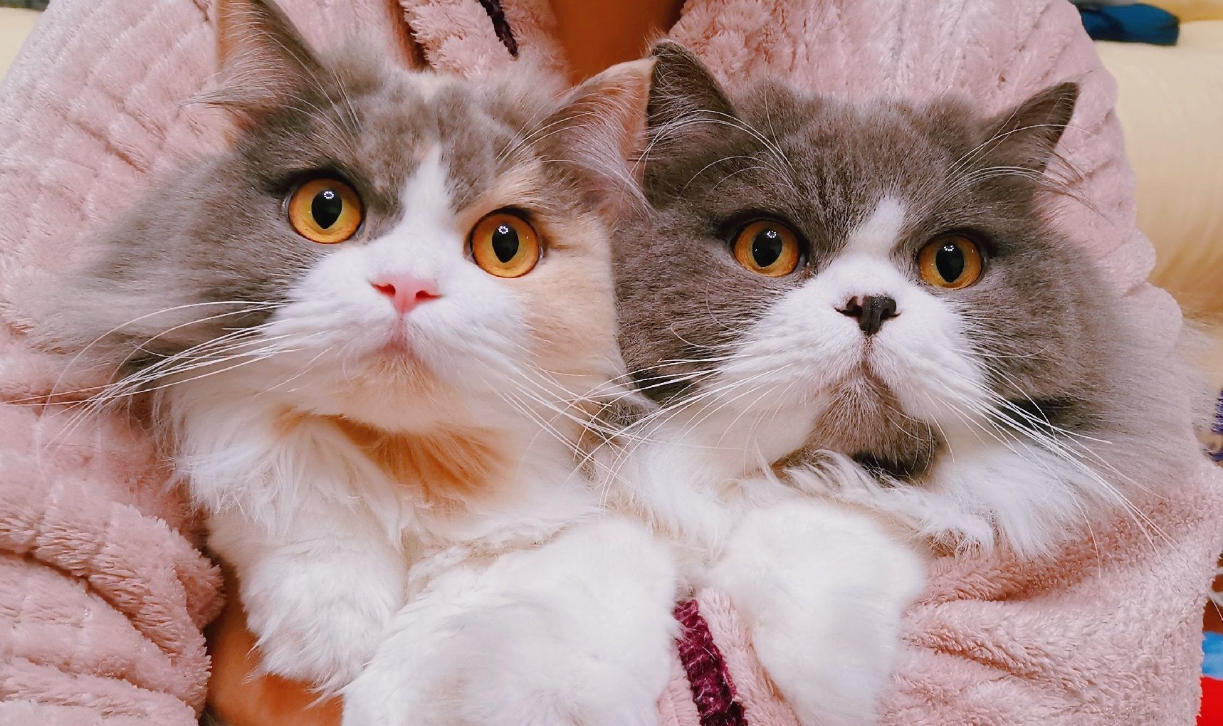 REQUIRED_SYNCHRONIZED_SECONDARIES_TO_COMMIT and error 988 --SQL 2017 ...