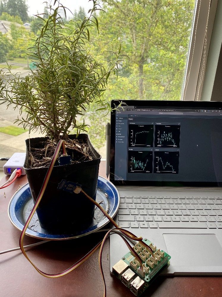 Fun IoT projects to do at home during #JulyOT | Microsoft Community Hub