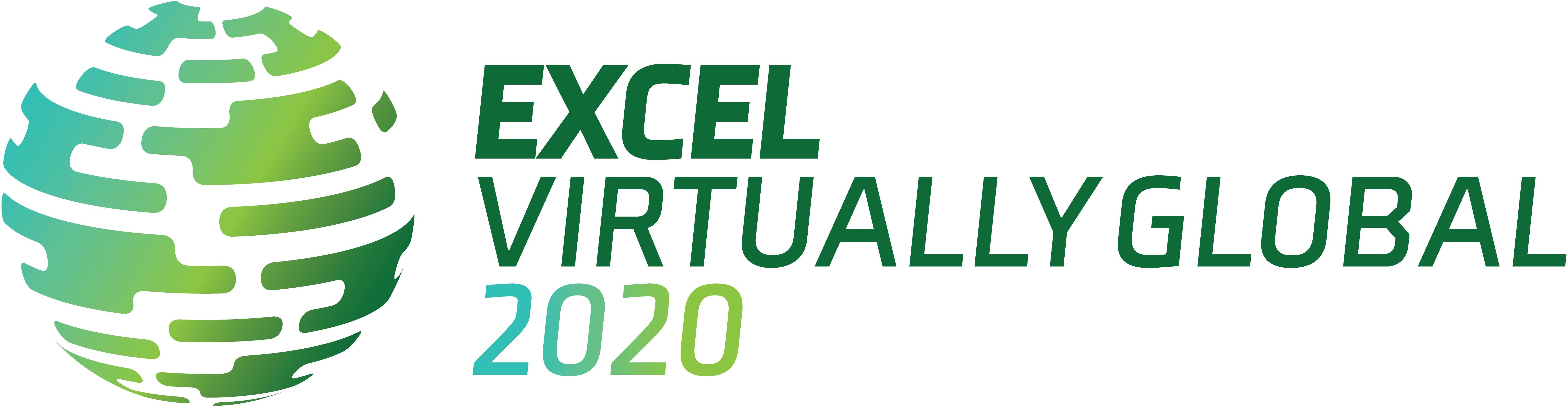 Excel MVP Liam Bastick Looking back at Excel Virtually Global 2020