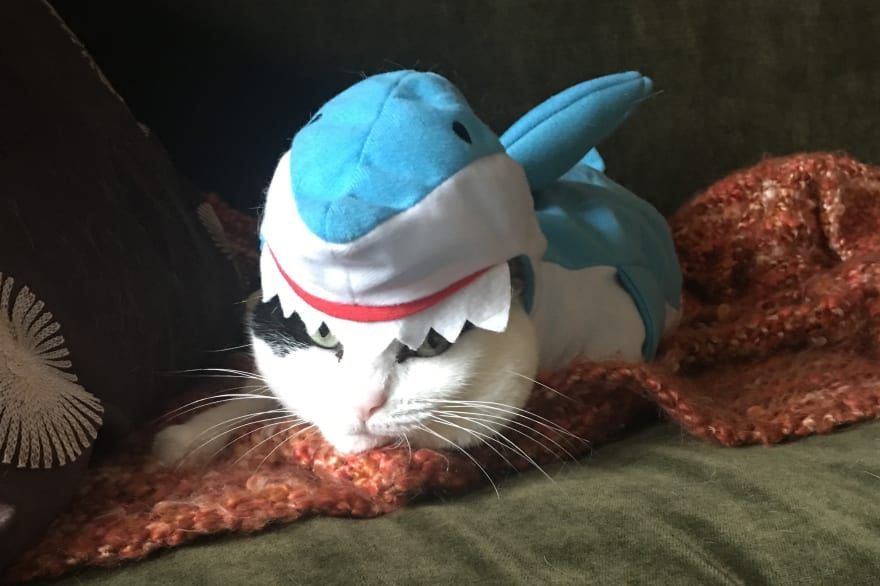 Azure Advocates Weekly Round Up - Saving Halloween with Azure Maps and ...