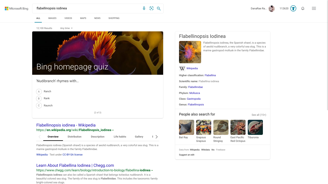REALLY, "Bing homepage quiz"?! Now Ur just being silly!- LOL! | Microsoft Community Hub