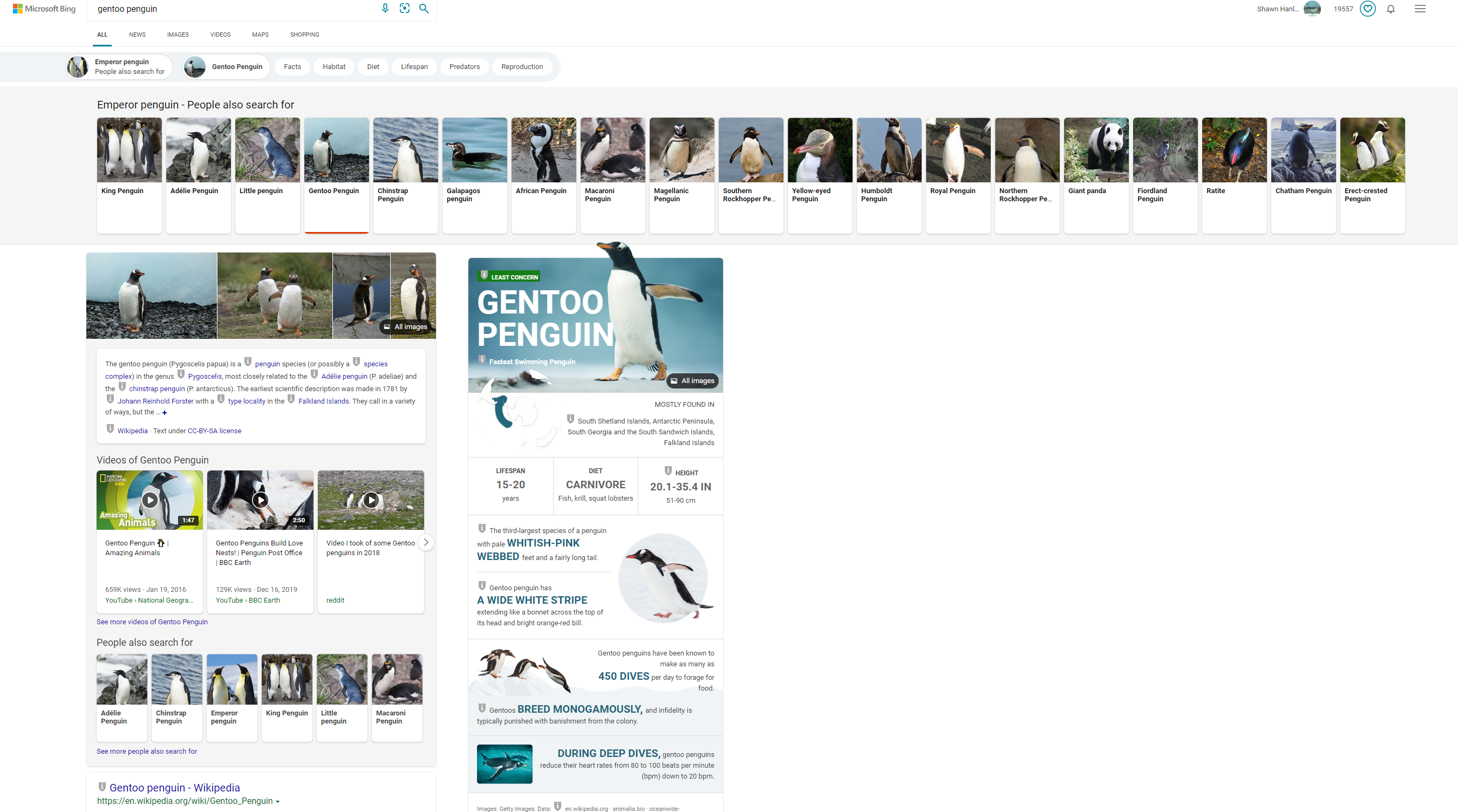 Bing Animal Factsheets is downgraded | Microsoft Community Hub