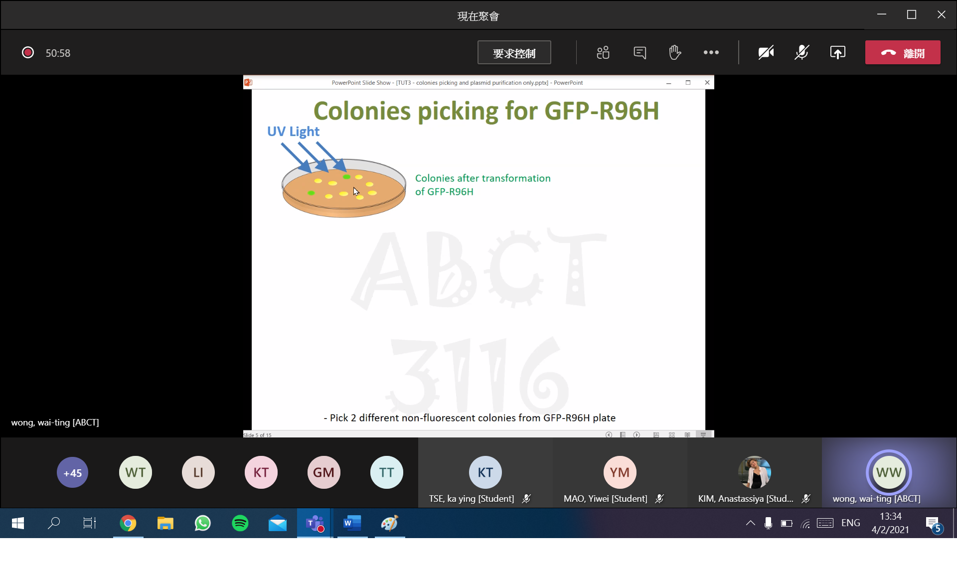 Teams Meeting Window Resizing Problem | Microsoft Community Hub