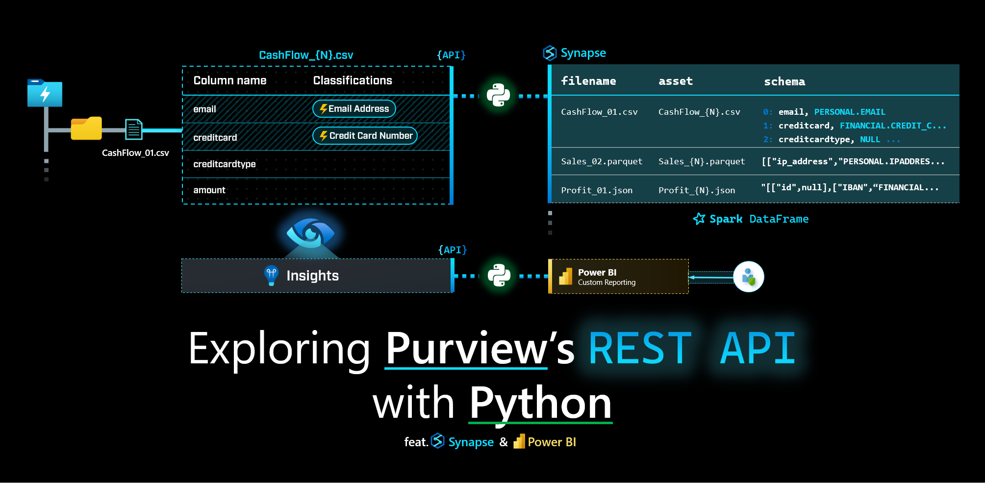 Exploring Purview’s REST API with Python