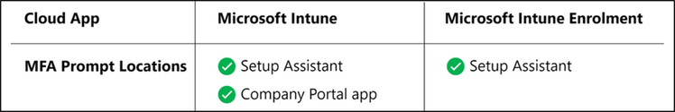 Setup Assistant with modern authentication for ADE - Intune Public ...