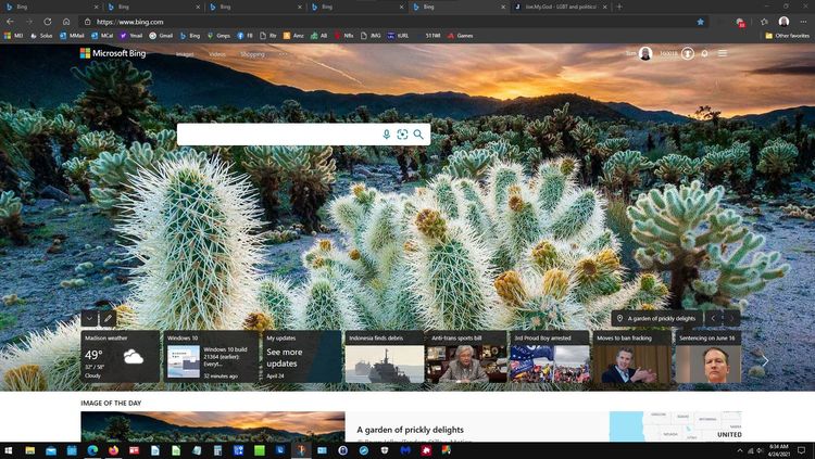 Edge - Vertical Rendering Issue on Bing | Microsoft Community Hub