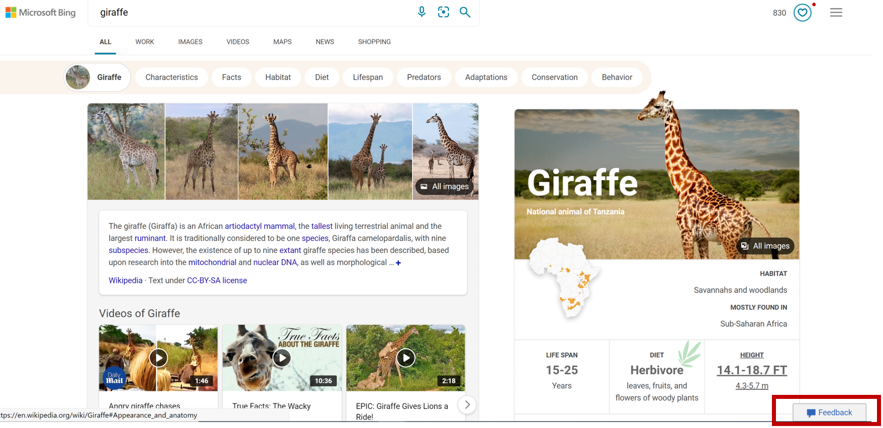 Bing Insiders becoming Microsoft Bing | Microsoft Community Hub