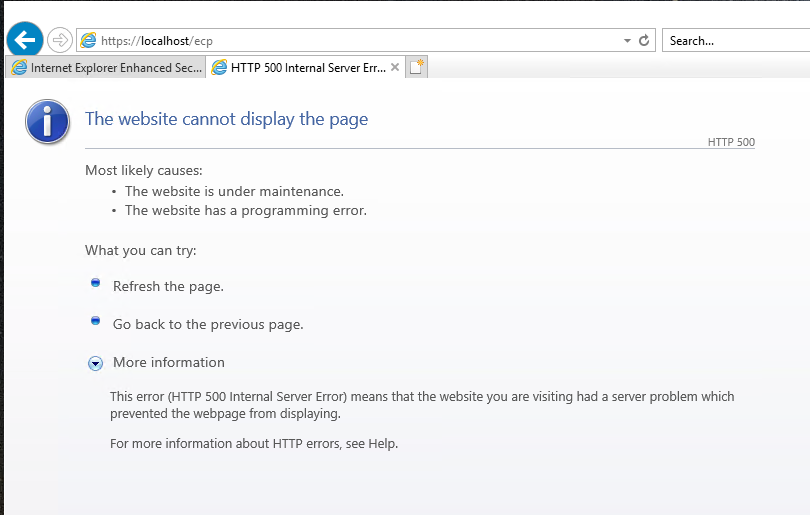 500 ERROR trying to access ECP - Exchange 2019 | Microsoft Community Hub