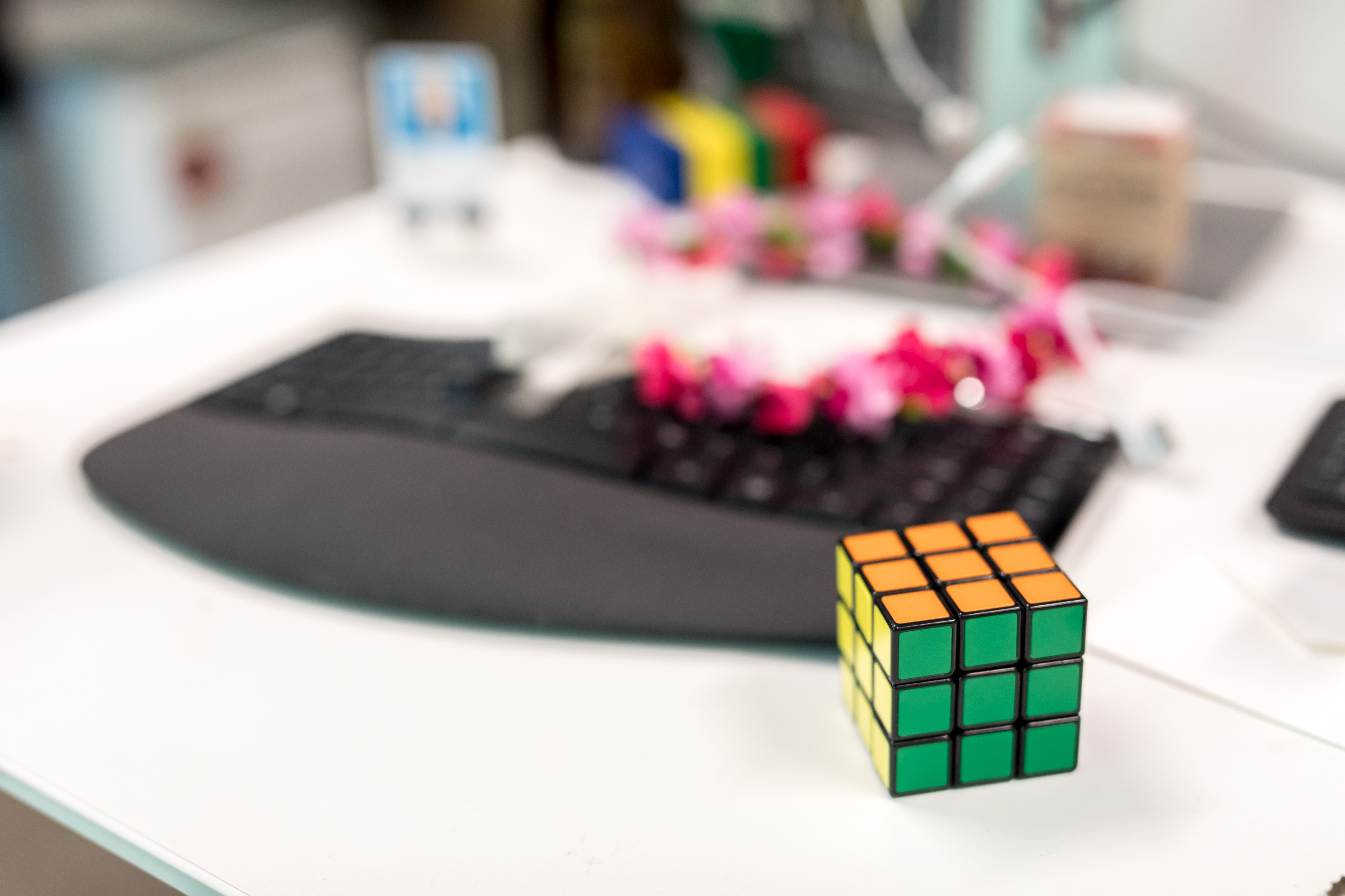 Inclusive Bee: Hispanic Heritage Month | Microsoft Community Hub