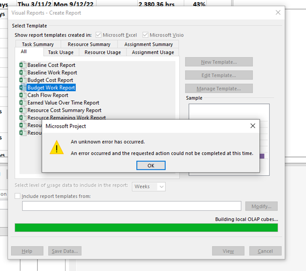 Visual report problem in Project 2019 | Microsoft Community Hub