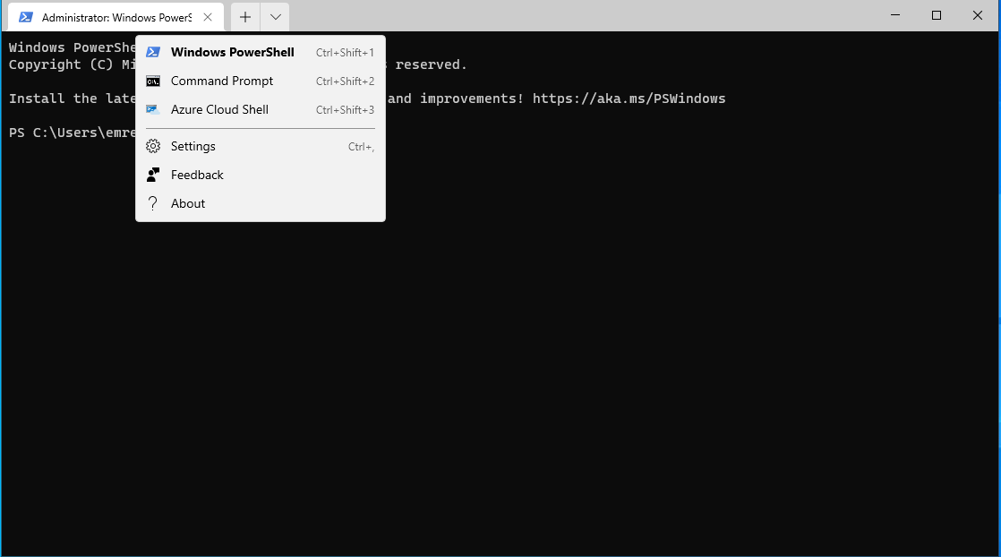 Windows Terminal, Windows Server'a nasıl yuklenir ? (tr-TR) | Microsoft ...