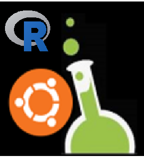 Getting started with R on Data Science Virtual Machines | Microsoft ...