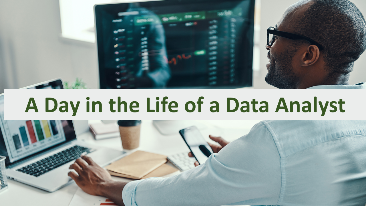 A day in the life of a Data Analyst