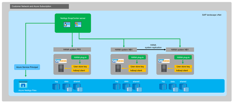 SAP HANA data protection on Azure NetApp Files with SnapCenter