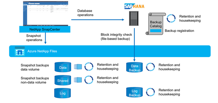 SAP HANA data protection on Azure NetApp Files with SnapCenter