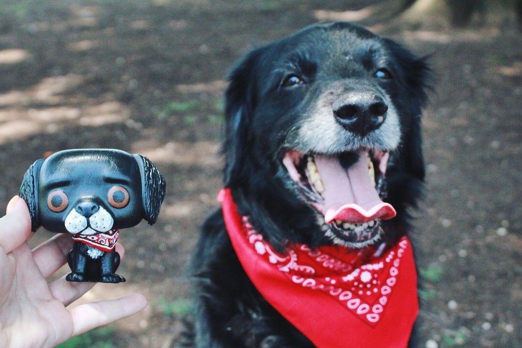 MTC Weekly Roundup - July 1 | Microsoft Community Hub