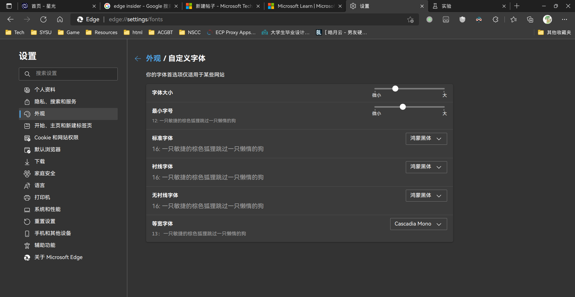 Weird Font Setting Behavior | Microsoft Community Hub