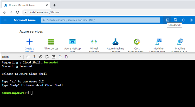 Providing persistent volume with data protection to Azure Machine Learning studio workloads with ...
