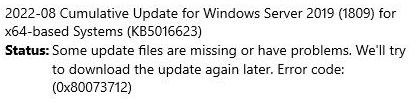 Windows Server 2019 (1809) update error | Microsoft Community Hub