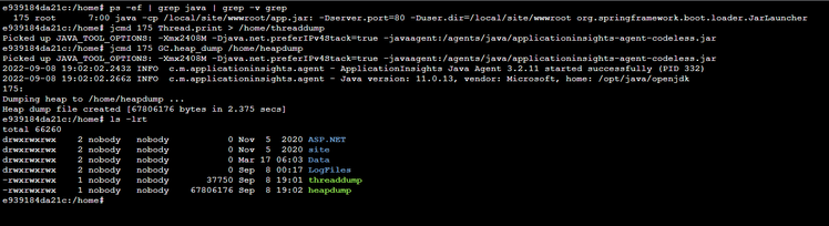 Collect Thread Dump and Heap Dump on Linux App Service (Java/Tomcat ...