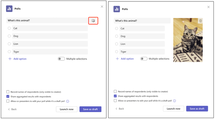 Polls with image – make your next poll more engaging and intuitive ...